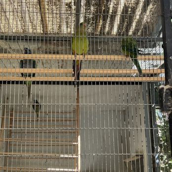 MAGNOLIA BIRD FARM - Updated April 2025 - 142 Photos & 190 Reviews ...