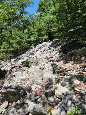 SIGNAL KNOB HIKE - 15 Photos - George Washington National Forest ...