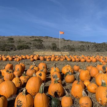 RODONI FARMS - Updated January 2026 - 151 Photos & 34 Reviews - 4444 ...