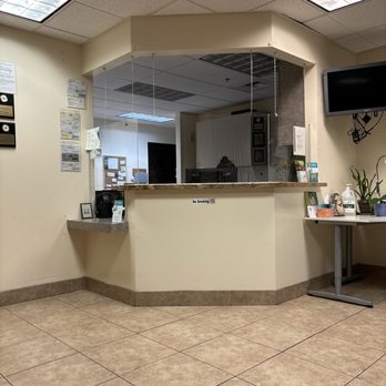 ALL CREATURES VETERINARY EMERGENCY CLINIC - Updated October 2025 - 51 ...