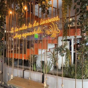 LION FISH - Updated October 2025 - 1156 Photos & 459 Reviews - Erasmo ...