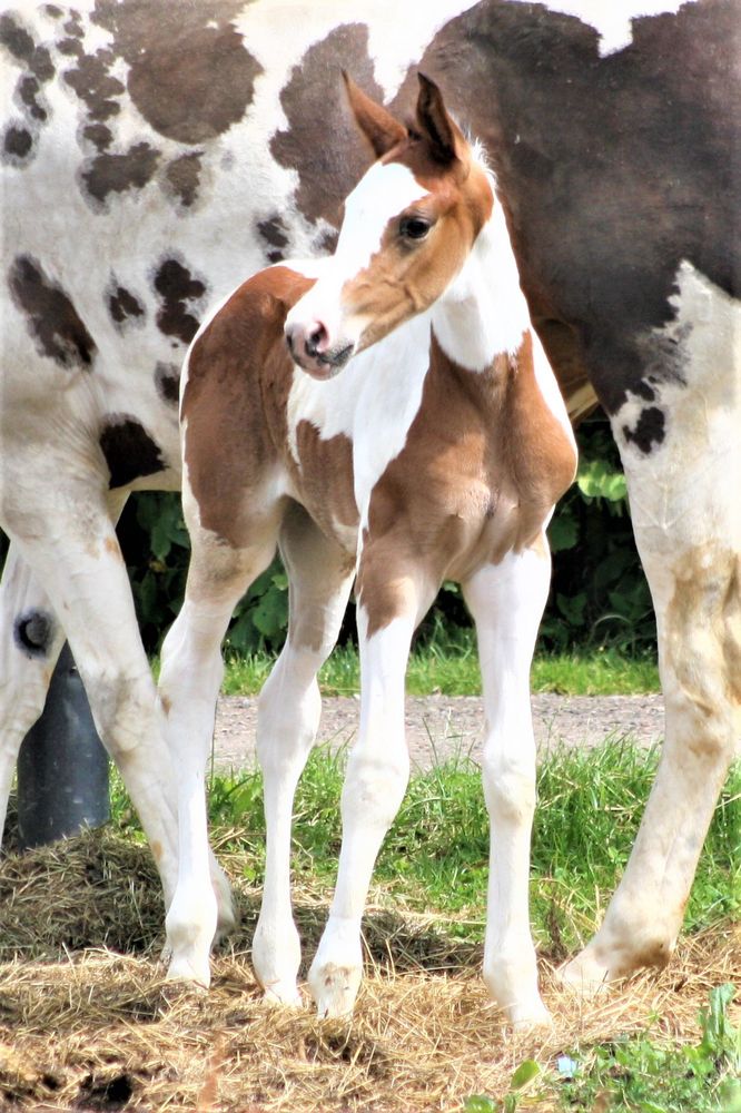 TALIA FLOWERS - Updated January 2026 - 21 Photos - 2401 Bank Street ...