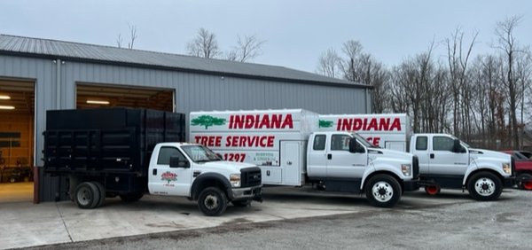 INDIANA TREE SERVICE - Updated December 2025 - 23 Photos & 10 Reviews ...