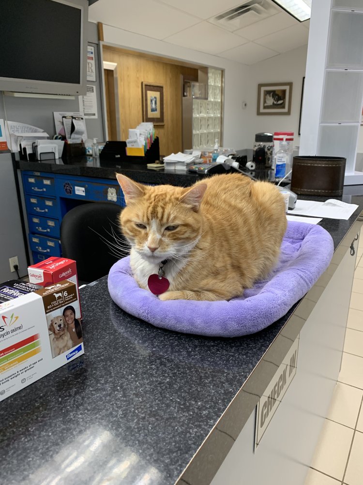 TERRY ANIMAL HOSPITAL - Updated January 2026 - 16 Photos & 48 Verified ...