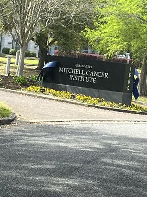 USA HEALTH MITCHELL CANCER INSTITUTE - Updated December 2025 - 25 ...