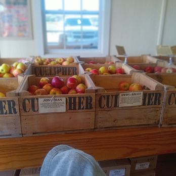 CULLIPHER FARM - TEMP. CLOSED - Updated January 2026 - 416 Photos & 66 ...