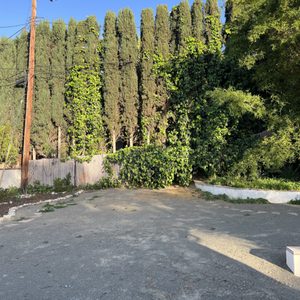 AFFORDABLE TREE CARE - 1616 Photos & 1510 Reviews - Los Angeles ...