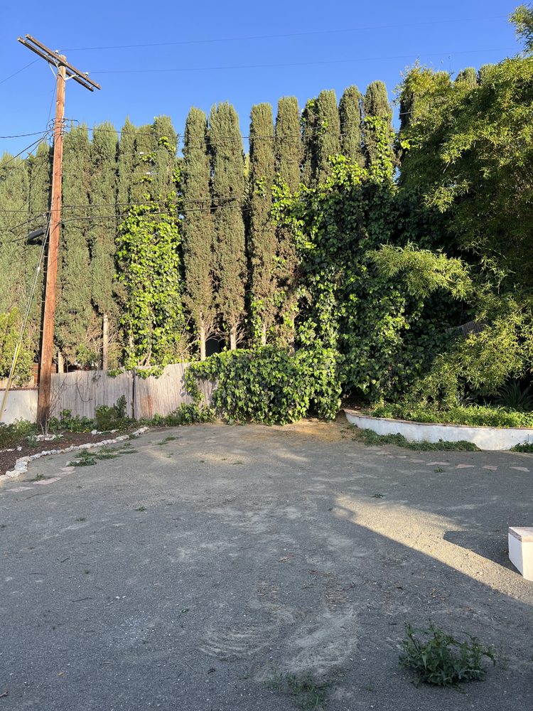 KINGS TREE SERVICES - Updated December 2025 - 155 Photos & 80 Reviews ...