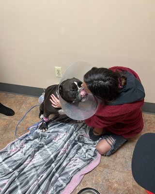 WILSON VETERINARY HOSPITAL - Updated November 2025 - 61 Photos & 328 ...