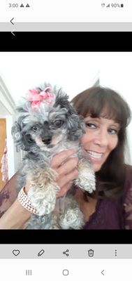 SHERVIN AMINPOUR, MD - Updated September 2025 - 100 Photos & 460 ...