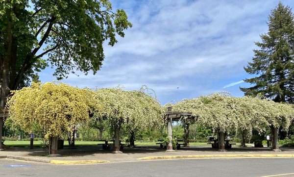 OWEN ROSE GARDEN - Updated May 2024 - 160 Photos & 28 Reviews - 300 N ...