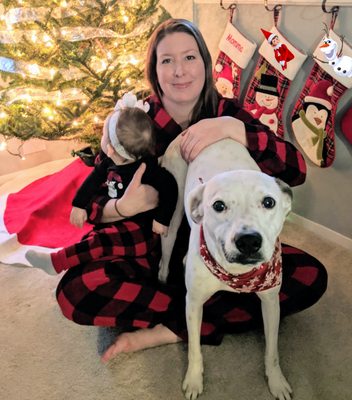 WRIGHT WAY RESCUE - 74 Photos & 169 Reviews - 5915 Lincoln Ave, Morton ...