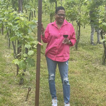 CLEARVIEW VINEYARD - Updated January 2026 - 127 Photos & 113 Reviews ...