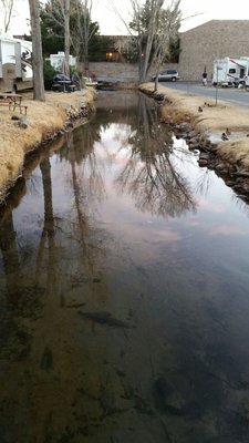 J DIAMOND MOBILE RANCH - Updated December 2025 - 10 Photos & 25 Reviews ...