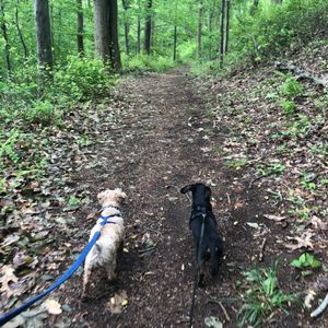 MOLDER’S FISHING PRESERVE - 33 Photos - 318 John Wall Rd, Old Bridge ...