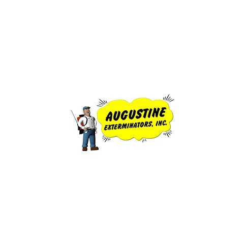 AUGUSTINE EXTERMINATORS - Updated January 2026 - 20 Photos - 9280 Flint ...