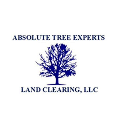 ABSOLUTE TREE EXPERTS AND LAND CLEARING - Updated July 2024 - Annandale ...