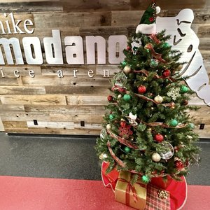 EDDIE EDGAR ICE ARENA - Updated December 2025 - 11 Photos - 33841 ...