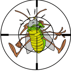 BUDGET PEST CONTROL - 16 Photos & 176 Reviews - 1009 E Capital Expy ...