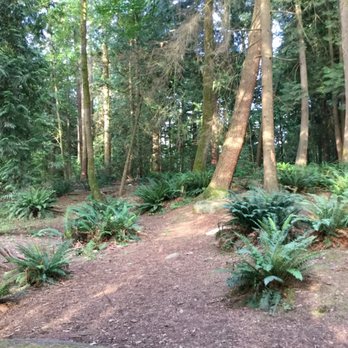 SIMON FRASER HILLS PARK - Updated December 2025 - 74 Photos - 9025 ...