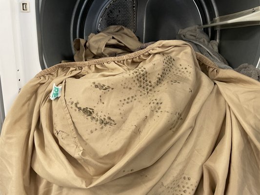 CSC SERVICEWORKS - Updated December 2025 - 73 Photos & 422 Reviews ...