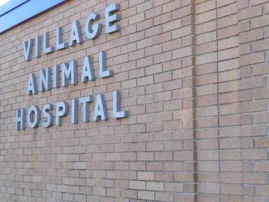 VILLAGE ANIMAL HOSPITAL - Updated December 2025 - 11 Photos & 12 ...