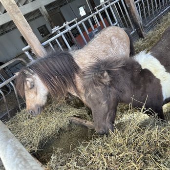 CALDER DAIRY & FARM - Updated December 2025 - 146 Photos & 47 Reviews ...