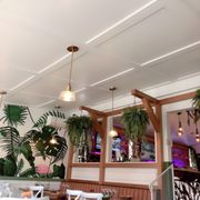 FERN THAI ON MAIN - 946 Photos & 416 Reviews - Thai - 10134 Main St ...