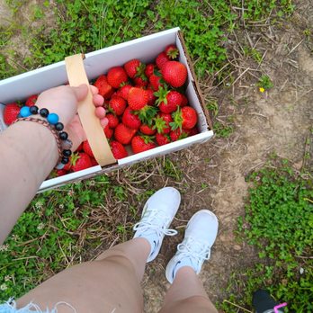 ECKERT’S ORCHARD - Updated January 2026 - 135 Photos & 64 Real Reviews ...