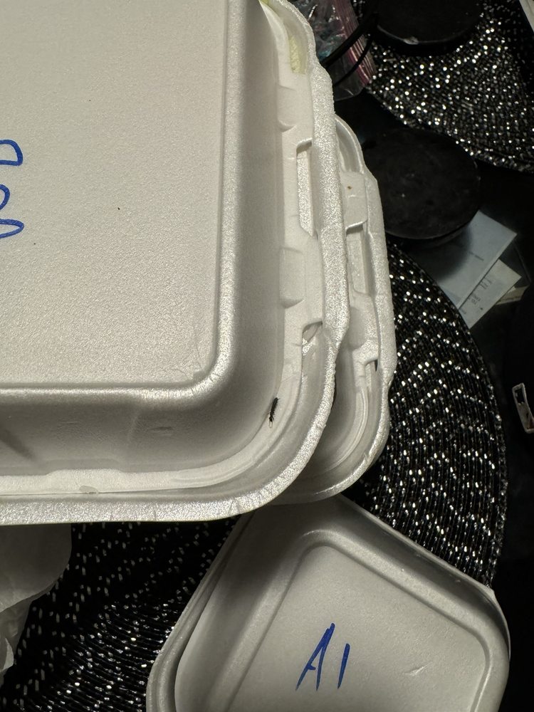 DATPHO - Updated October 2025 - 212 Photos & 268 Reviews - 523 E ...