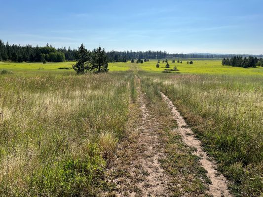 JAMES T SLAVIN CONSERVATION AREA - Updated December 2025 - Spokane ...