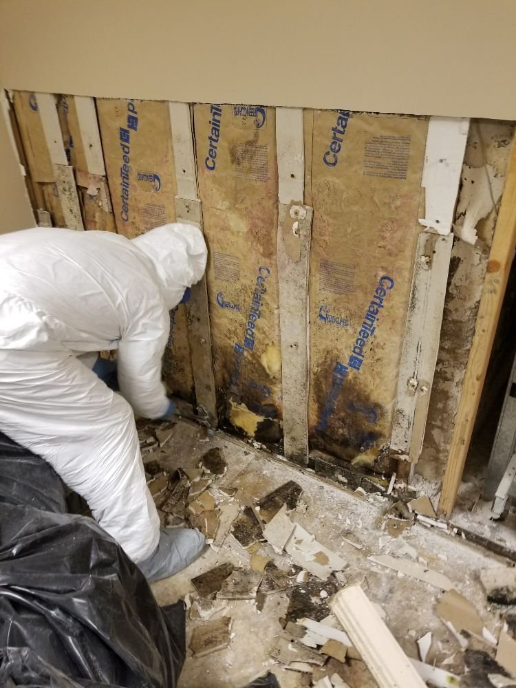 KING DAVID MOLD REMOVAL - Updated July 2025 - 50 Photos - 123 1st Ave ...