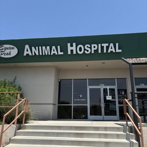 DEER CREEK ANIMAL HOSPITAL - Updated January 2025 - 93 Photos & 154 ...
