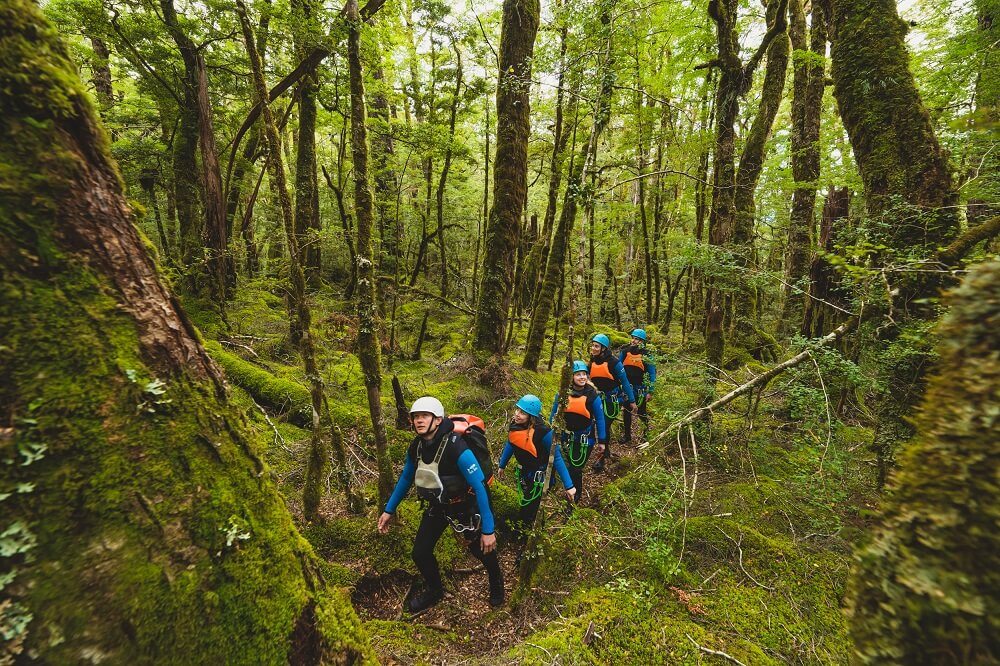 CANYON EXPLORERS - Updated October 2025 - 17 Photos - 39 Camp St ...