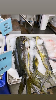 J DELUCA FISH COMPANY - Updated December 2025 - 56 Photos & 17 Reviews ...