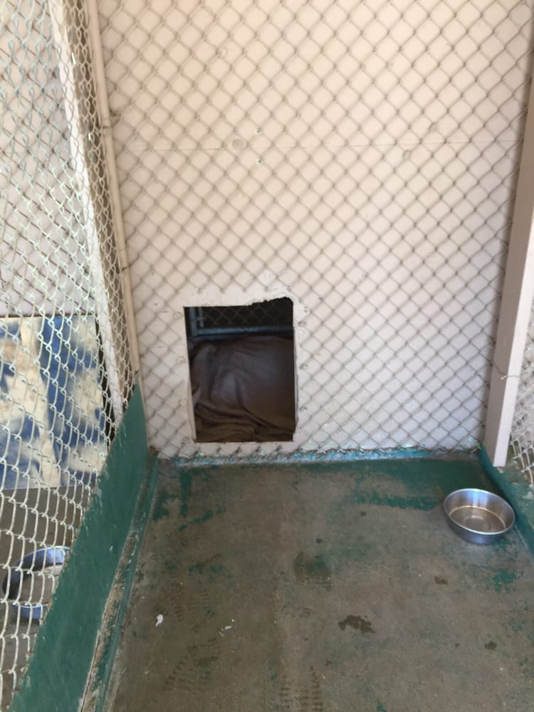 SILVERACRES KENNEL - Updated June 2026 - 8939 Hillview Rd, Morrison ...