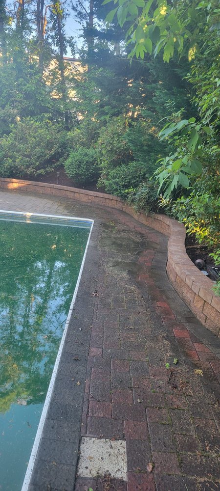 ODI TREE SERVICE AND LANDSCAPING - Updated September 2025 - 74 Photos ...