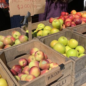WALLKILL VIEW FARM MARKET - Updated February 2025 - 97 Photos & 44 ...