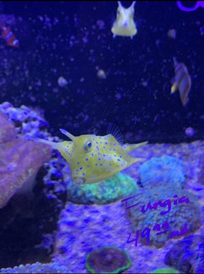 FISH FREAKS - Updated July 2025 - 23 Photos & 34 Reviews - 2502 S 133rd ...