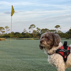 FLAGLER HOSPITAL IMAGING CENTER - Updated December 2025 - 14 Reviews ...