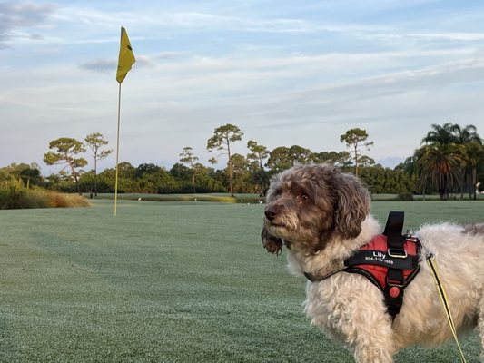 UF HEALTH FLAGLER HOSPITAL - Updated December 2025 - 42 Photos & 96 ...