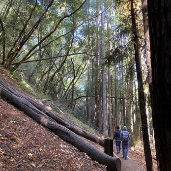 BALTIMORE CANYON - Updated January 2026 - 59 Photos & 17 Reviews ...