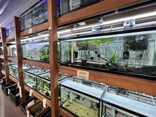 PET ZONE TROPICAL FISH - Updated June 2024 - 541 Photos & 214 Reviews ...