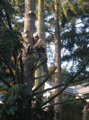 ERIK NYE THE TREE GUY - Updated September 2025 - 59 Photos & 213 ...