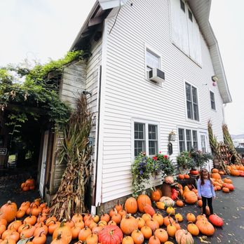 JONES FARM & COUNTRY STORE - Updated March 2025 - 269 Photos & 179 ...