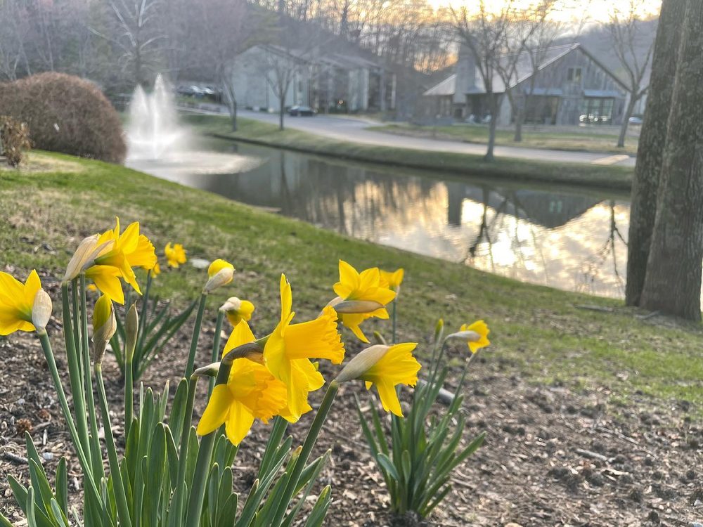 THE LAKES BELLEVUE - Updated March 2025 - 110 Photos & 45 Reviews - 200 ...