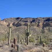 USERY MOUNTAIN REGIONAL PARK - 234 Photos & 88 Reviews - 3939 N Usery ...