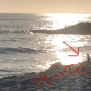 TAMARACK STATE BEACH - Updated January 2026 - 399 Photos & 100 Reviews ...