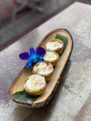 TERRA LUNA CAFE - 175 Photos & 100 Reviews - 225 Essex St, Lawrence ...