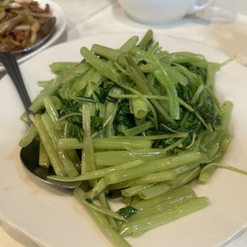 SHANGHAI CHINESE KITCHEN - Updated July 2025 - 201 Photos & 32 Reviews ...